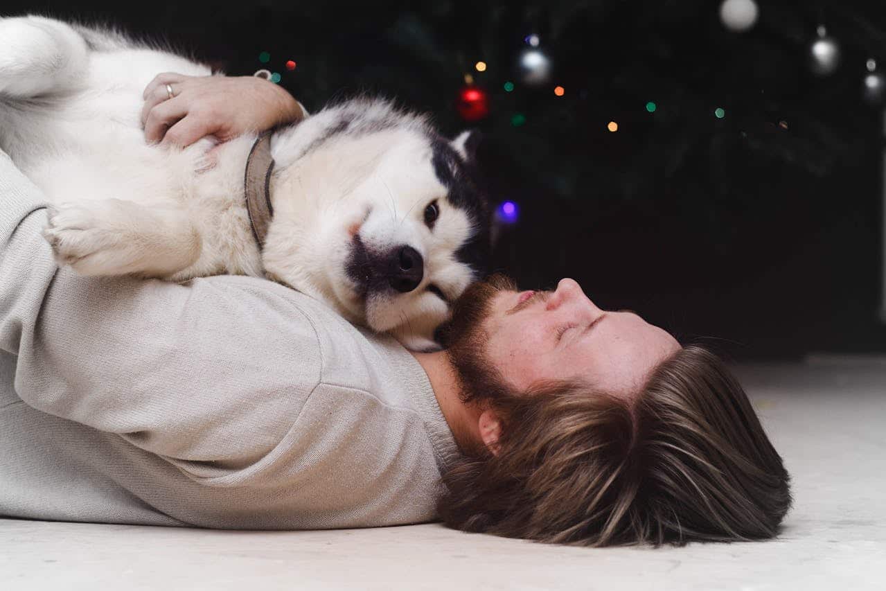 5 Reasons To Love Owning a Dog: Improved Health & Happiness in Life