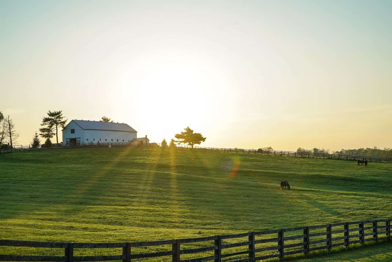 The History of the State of Kentucky